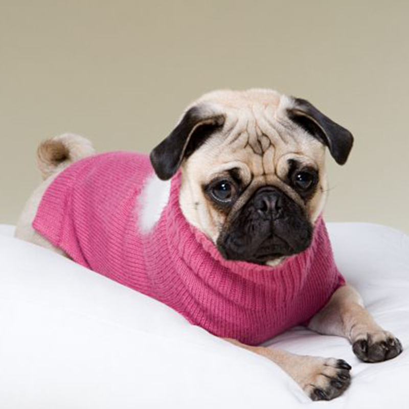 Imágenes de Ropa Para Pug | Imágenes de Ropa Para Perros